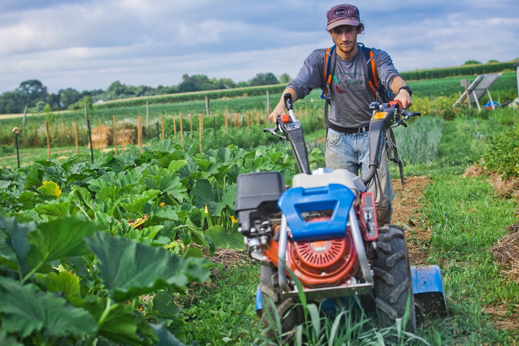 Small Farm Infrastructure Project · Engineering · Lafayette College